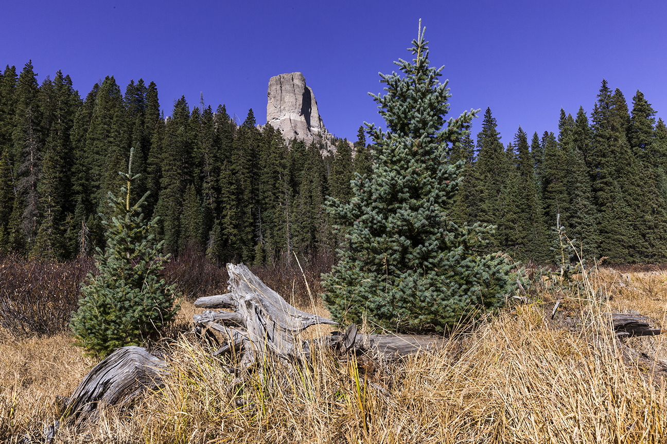 Courthouse Mountain 2017.