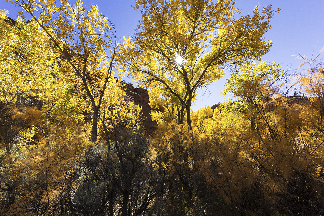 Long Canyon.